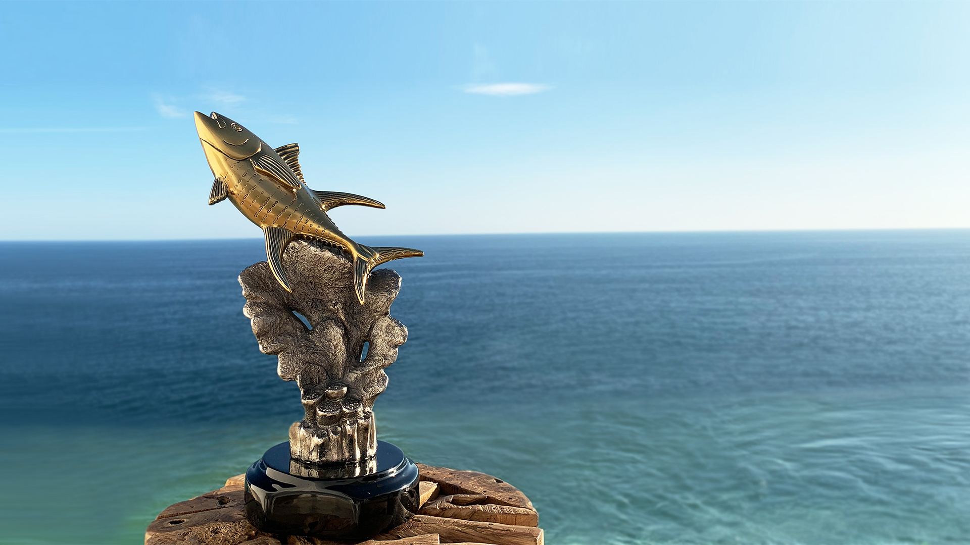 Marine Trophies – by Torogoz El Salvador