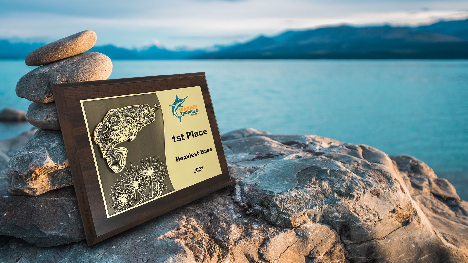 Marine Trophies – by Torogoz El Salvador